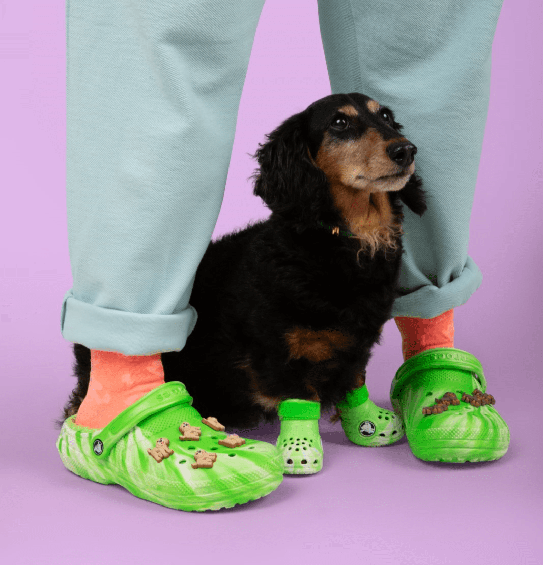 2 lançamentos da Crocs: Pet Crocs e fantasia de clog em tamanho humano ...
